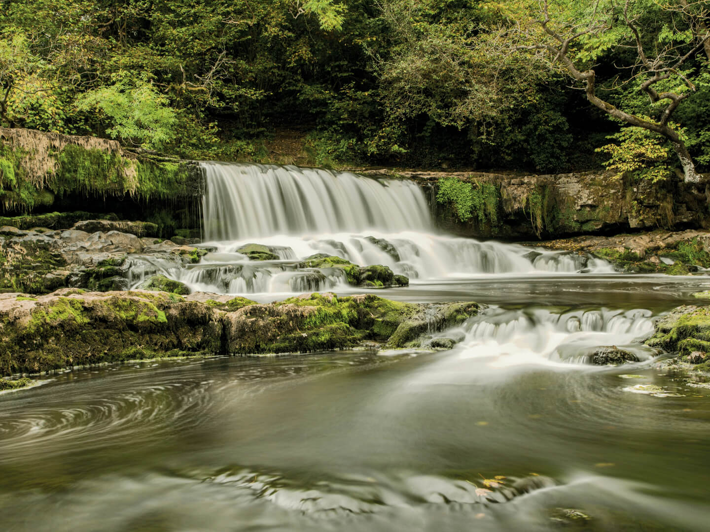 Aysgarth Lodges | Five Star Holiday Park | Leisure Resorts